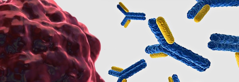 Imunoterapija kod raka: monoklonalna antitela - Medhel
